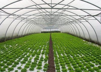 Cina La singola serra del tunnel di piccola zona facile installa per l'agricoltura fiore/della scuola materna in vendita