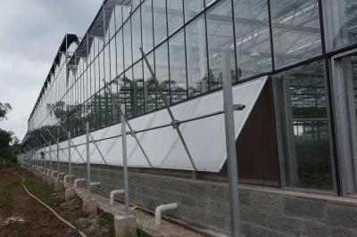 China Geluiddichte Commerciële de Vertoningseffect van de Glasserre Goede Mooie Verschijning Te koop