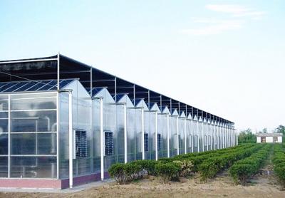 China La altura de aluminio grande los 3.0-6.0m del canal del invernadero del policarbonato fáciles monta en venta