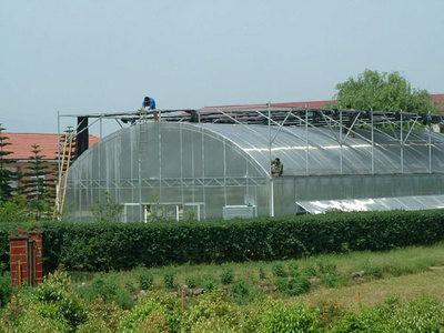Cina Tasso all'aperto commerciale bianco/trasparente >80% di trasmissione della serra in vendita