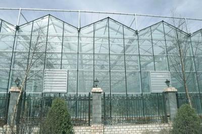 China Tentoonstellings Commerciële Openluchtserre, Bloem die Grote Groene Huizen kweken Te koop