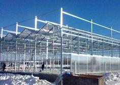 China Termine el proyecto de llavero de la agricultura de cristal del invernadero con el sistema del hidrocultivo del tomate en venta