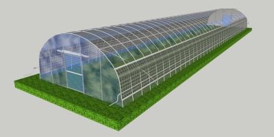 China Anti Wind Agriculture Plastic Film Greenhouse Single Span / Multi Span Tunnel for sale