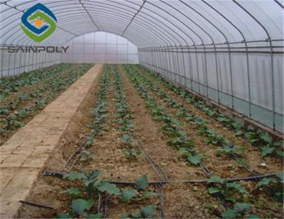 China Anti Wind Agriculture Plastic Film Greenhouse Single Span / Multi Span Tunnel for sale