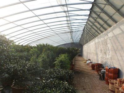 China Components Underground Multi Span Greenhouse Structure , Multi Tunnel Greenhouse for sale