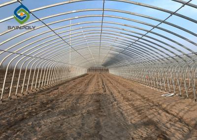 China 4M Polyethylene Film Greenhouse Te koop