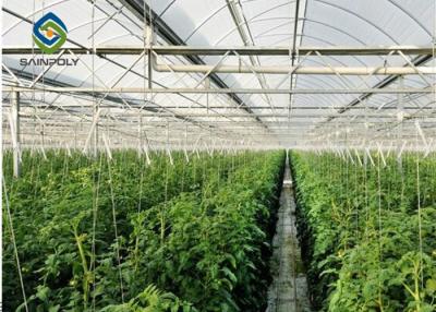 Cina Singola serra agricola del tunnel 10m della plastica 8m in vendita