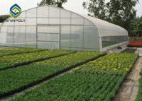 China 6m Single Tunnel Greenhouse for sale
