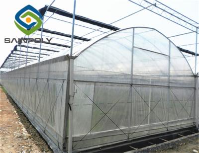 China Arch Roof White 4m Polyethylene Film Greenhouse For Fruit for sale