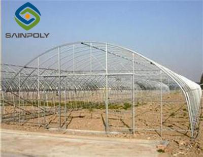 Cina Singola serra agricola del tunnel del pomodoro 12m in vendita