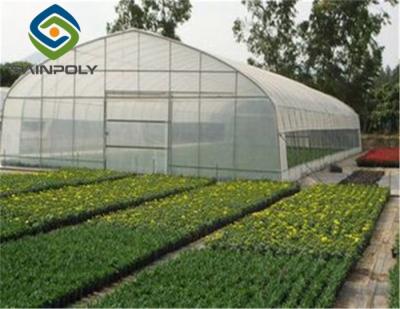 Cina Singola serra agricola del tunnel del pomodoro 12m in vendita