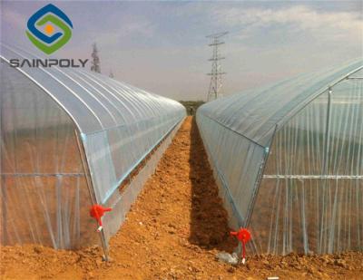Cina Singola serra agricola del tunnel del pomodoro 12m in vendita