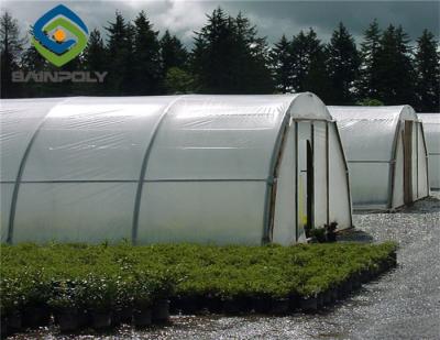 Cina Singola serra agricola del tunnel del pomodoro 12m in vendita