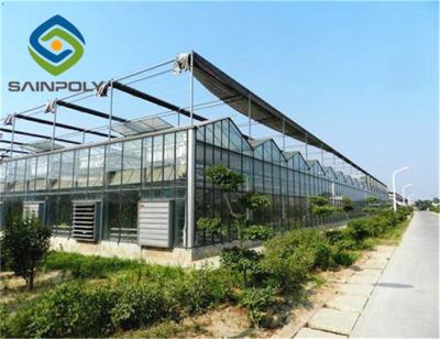 Cina Serra di vetro della multi portata di 150N/MM dei cetrioli di verdure in vendita