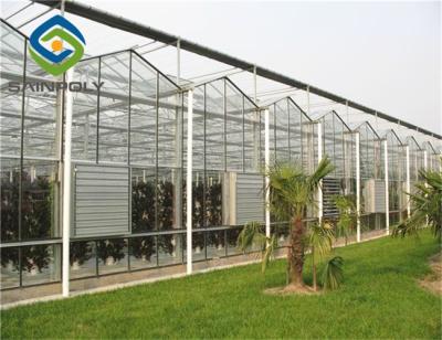 Cina Serra di vetro della multi portata di 150N/MM dei cetrioli di verdure in vendita