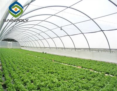 中国 1.5mのプラスチック小屋の野菜のための単一のトンネルの温室 販売のため