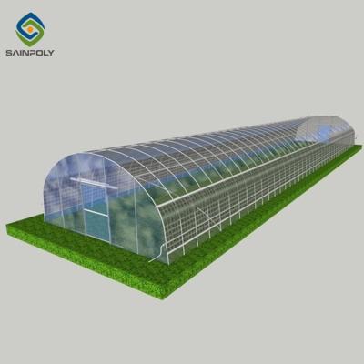 China Frutifica a estufa plástica do túnel do único período de 100m à venda