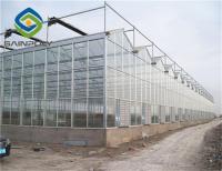 China Transparent Hydroponic 0.3KN/M2 Multi Span Greenhouse for sale