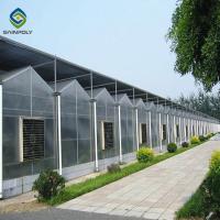 China 12m Multi Span Greenhouse With Hydroponic Growing Systems for sale