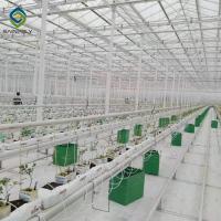China Shading System 6.0m Multi Span Greenhouse For Tomatoes for sale