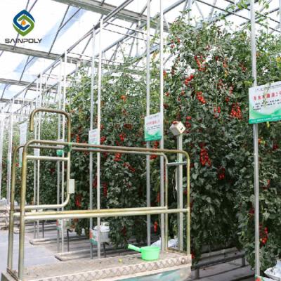China Estufa feita sob encomenda do filme de polietileno do tomate de 0.35KN/M2 33ft à venda