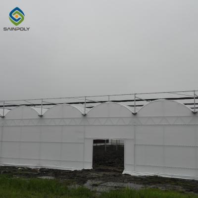 Cina 0,12 serre agricole di piantatura mediche della copertura in vendita