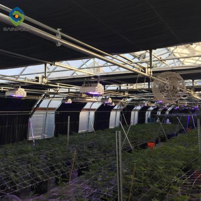 Cina 0,12 serre agricole di piantatura mediche della copertura in vendita