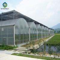 China Hydroponic 9.6m Multi Span Pc Greenhouse For Agriculture for sale
