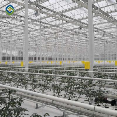 China 9.6m multi estufa hidropônica do PC do período para a agricultura à venda