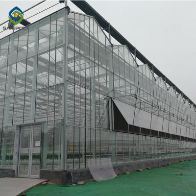 China Plantaardige van de de Serrespanwijdte van het Installatie Commerciële Glas Breedte 9,6/10,8/12m Te koop