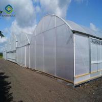 China 12m Polycarbonate Greenhouse Hydroponic Growing Systems for sale