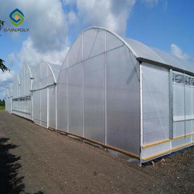 China 12m Polycarbonate Greenhouse Hydroponic Growing Systems for sale