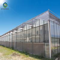 China Exhibition Multi Span Polycarbonate Plastic Greenhouse for sale
