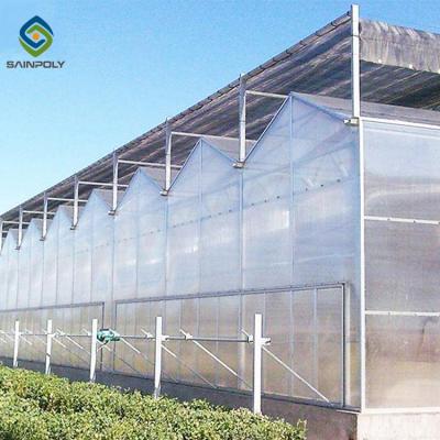 China Estufa transparente da folha do PC da flor do jardim 12m à venda