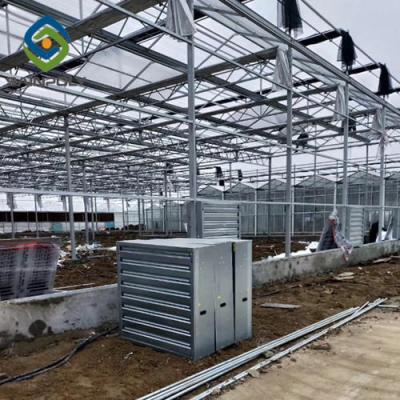 Cina Multi il vetro temperato della serra di Venlo della portata struttura commerciale ha coperto in vendita