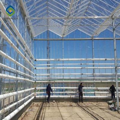 Cina Serra di vetro commerciale di altezza di frutti 0.4KN/M2 4m in vendita