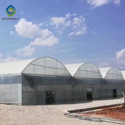 Cina Vento all'aperto commerciale parteggiato della serra della multi portata di ventilazione 12m resistente in vendita