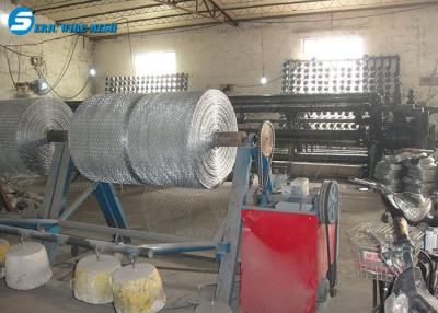 China Hexagonal wire mesh/netting for sale