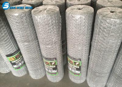 China Hexagonal wire mesh/netting for sale