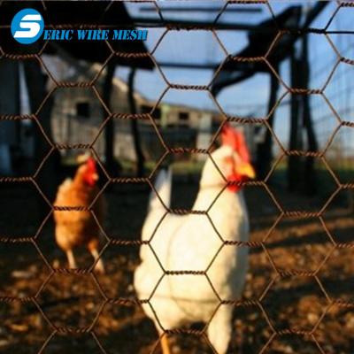 China Stainless Steel 1mm X30mm Mesh Hexagonal Wire Mesh on Sale for sale