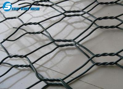 China Dingzhou Factory, Hexagonal Wire Mesh, Chicken Wire Mesh for sale
