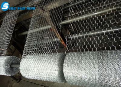 China Small hole size 1.28mm Galvanized-chicken hexagonal wire mesh for sale