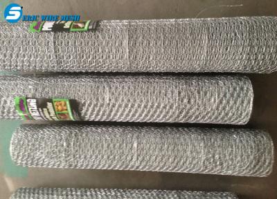 China guaranteed quality hexagonal wire mesh \/ chicken wire mesh for sale