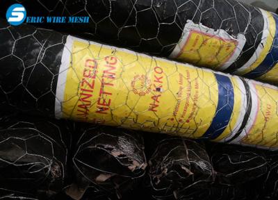 China Galvanized/ pvc coated hexagonal wire mesh / chiken wire netting for poultry( China Supplier) for sale