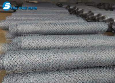 China China supplier PVC/PE/plastic coated hexagonal wire mesh for sale