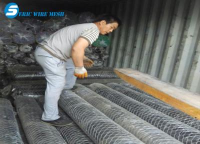China High quality galvanized/pvc coated hexagonal wire netting/hexagonal wire mesh for farm for sale