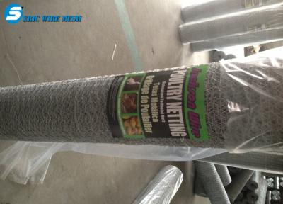 China eric unique high standard plant protect hexagonal wire mesh for sale