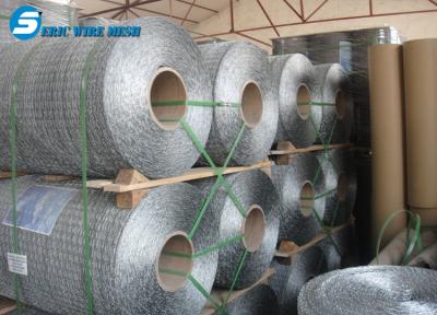 China eric PVC coated 2.5mm / 3.2mm anti-bird wire mesh / hexagonal wire mesh ( manufacturer & ISO made in china from dingzho for sale