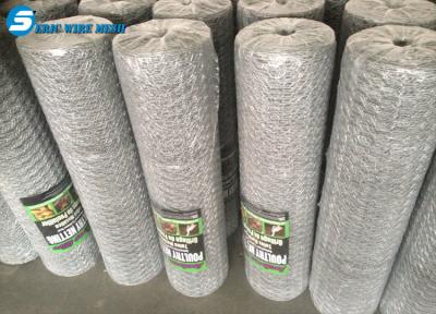 China hebei PVC coated 2.5mm / 3.2mm anti-bird wire mesh / hexagonal wire mesh ( manufacturer & ISO made in china from dingzho for sale
