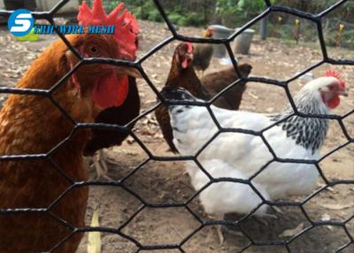 China 1/2 Inch 4" Pvc Coated Hexagonal Wire Mesh for sale